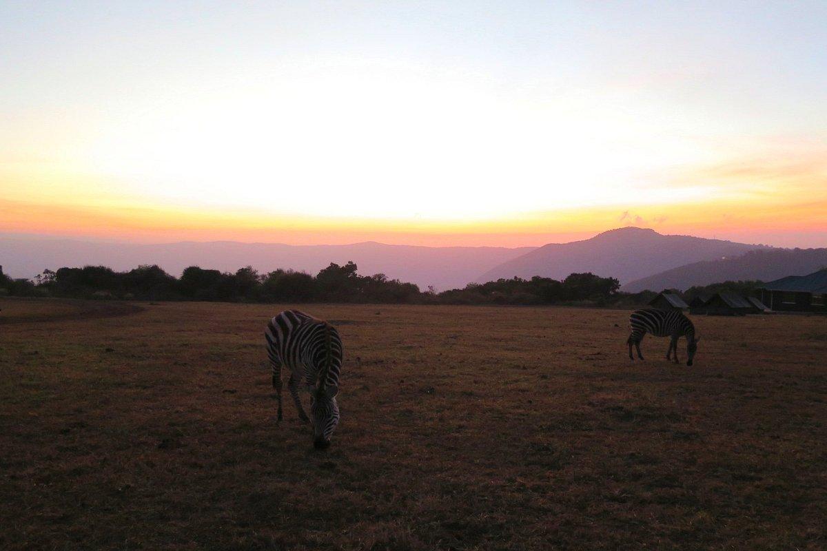 Simba Campsite A Ngorongoro | Artu Expeditions